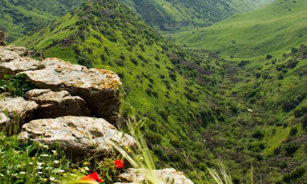 Israel Geography - The Fascinating Geography of Israel
